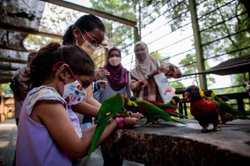 Malezya'nın en merak edilen turistik noktası "Kuala Lumpur Kuş Parkı ...
