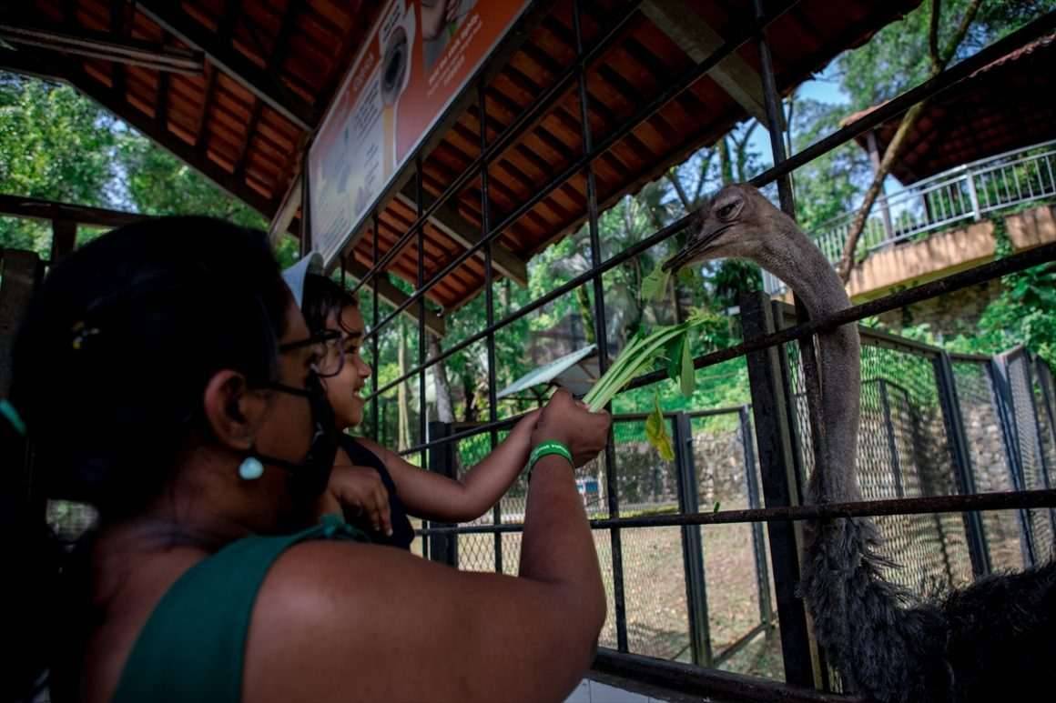 Malezya'nın en merak edilen turistik noktası "Kuala Lumpur Kuş Parkı ...