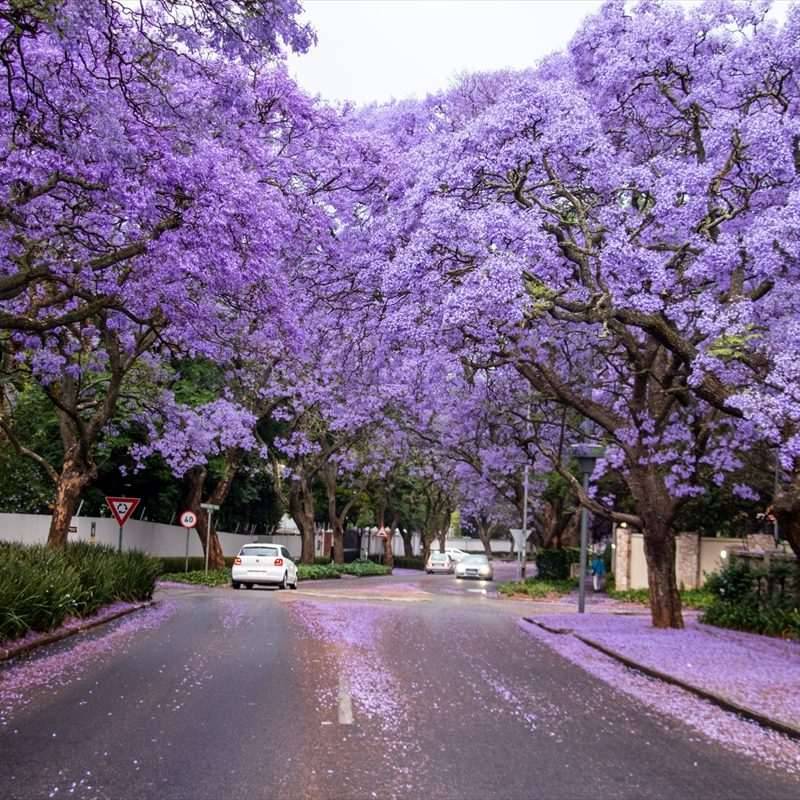 Bursa'daki tarihi yapılar depreme karşı lazer tarama cihazlarıyla ...