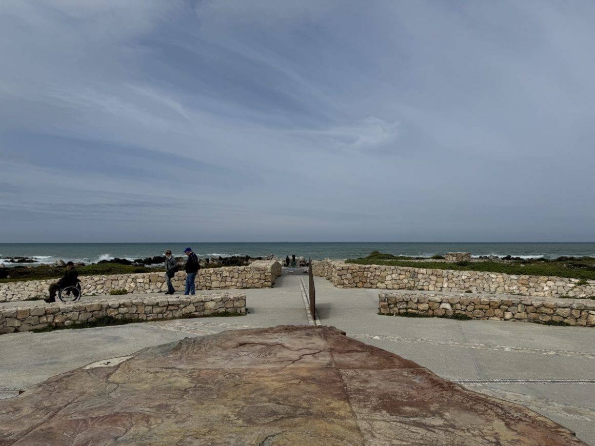 Cape Agulhas Ulusal Parkı: Afrika'nın en güney ucunda iki okyanus bir ...