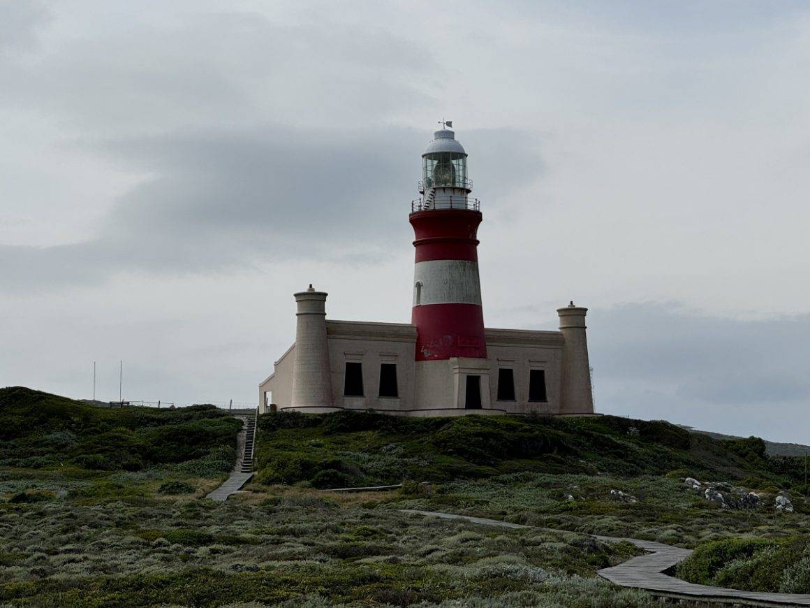 Cape Agulhas Ulusal Parkı: Afrika'nın en güney ucunda iki okyanus bir ...